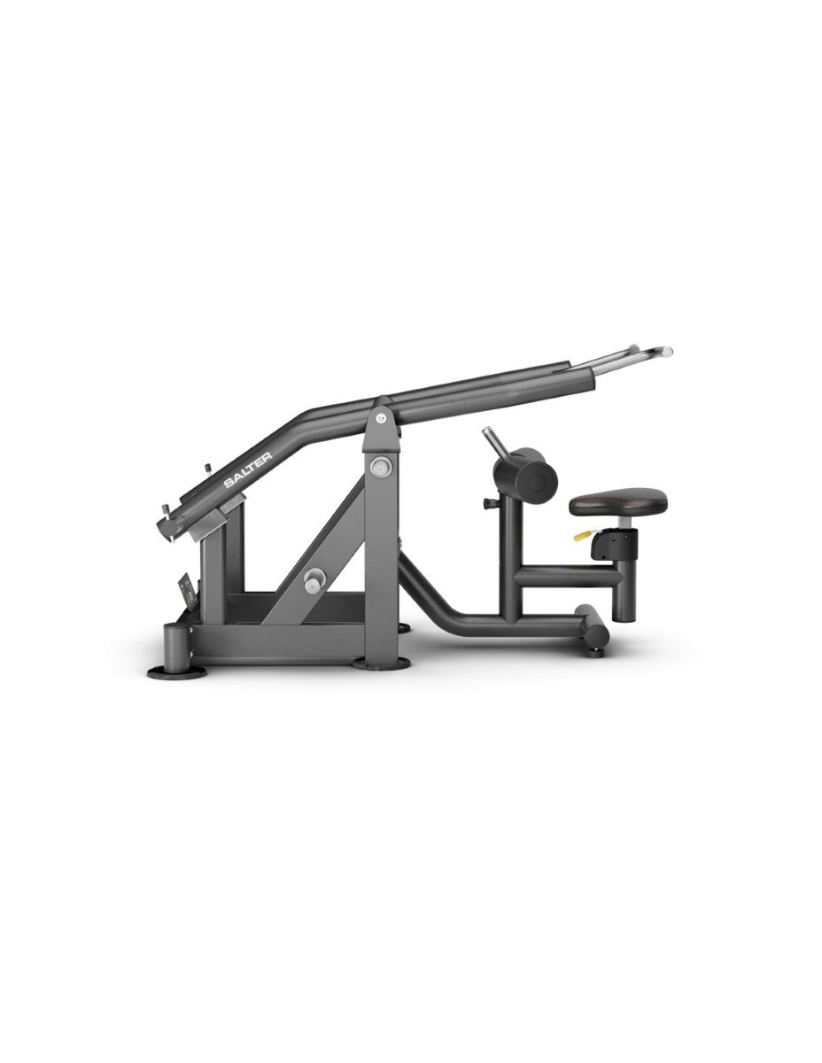 Aγοράστε Plate Loaded Dip Machine Online - Real Motion